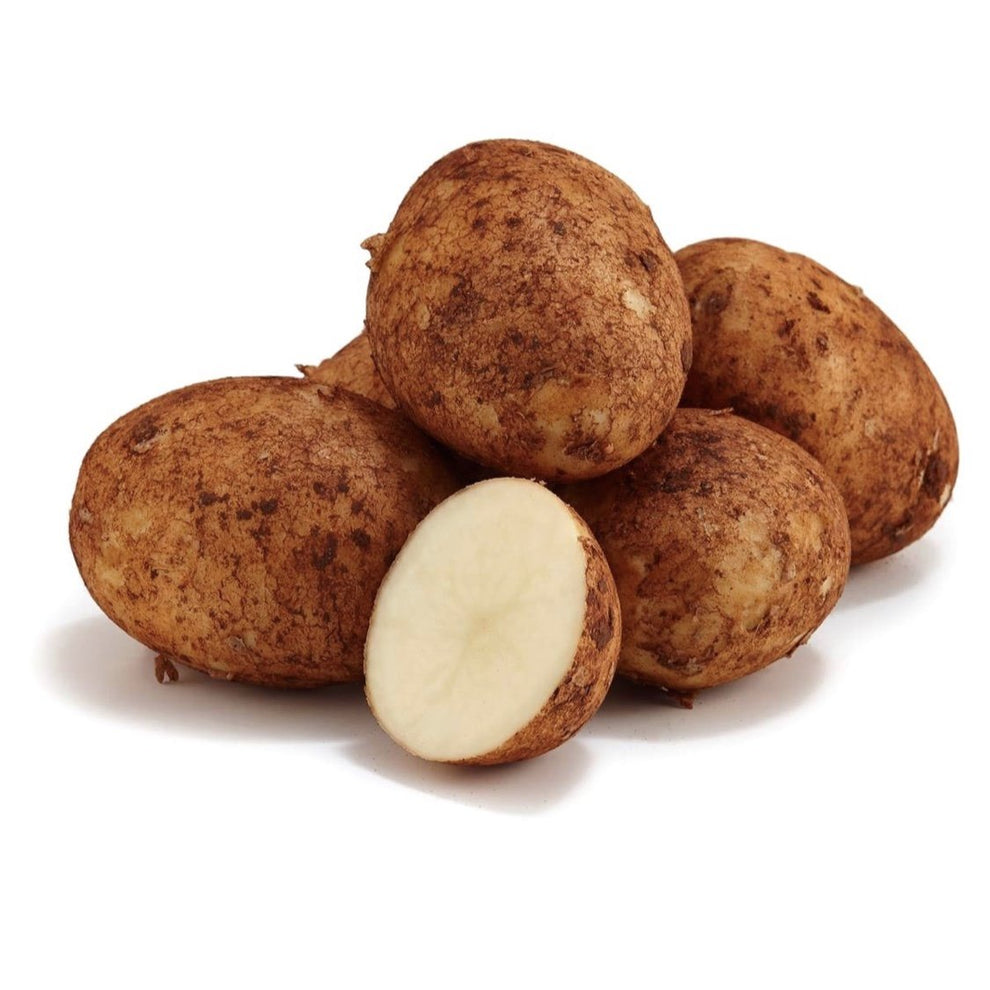 Potatoes - Sebago – Dielectric Organics